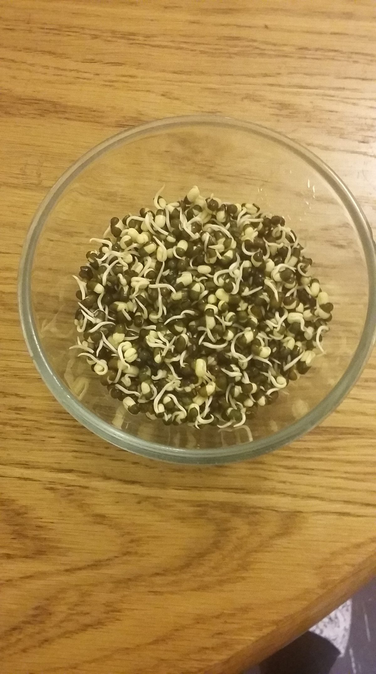 Sprouts - High Protein Skin Boost • Skin Clear